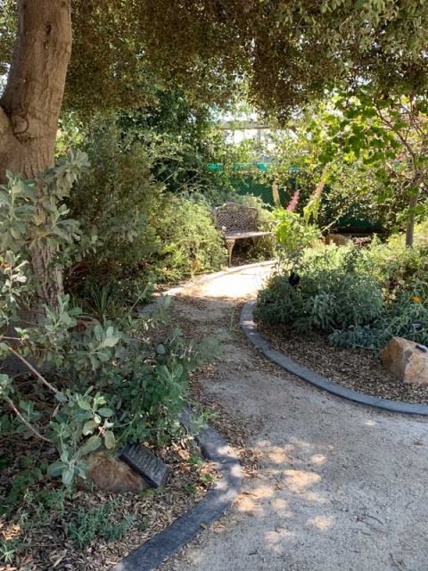 Visit | Santa Maria Natural History Museum